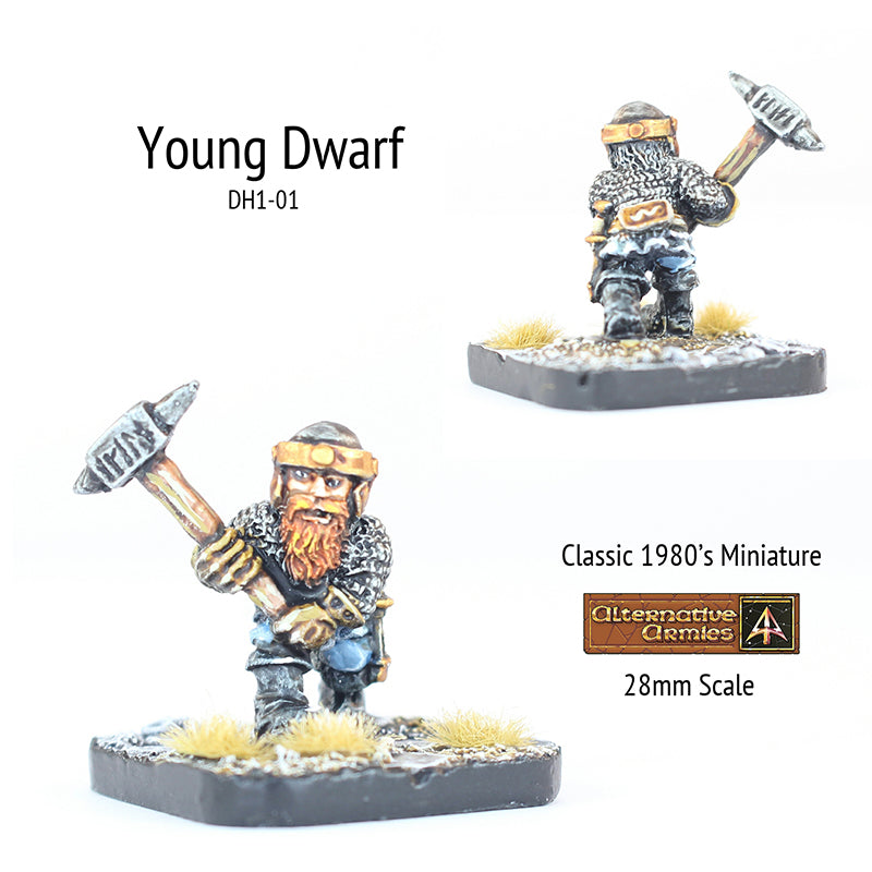 DH1-01 Young Armoured Dwarf with Hammer | Alternative Armies