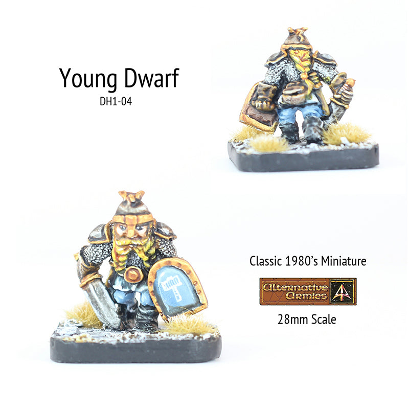 DH1-04 Young Armoured Dwarf with Short Sword and Shield | Alternative ...